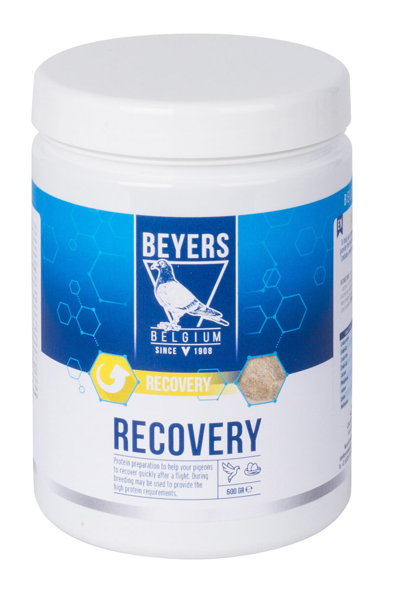 Recovery Plus 600 G (eiwitten-recuperatie) | Vanderbauwhede