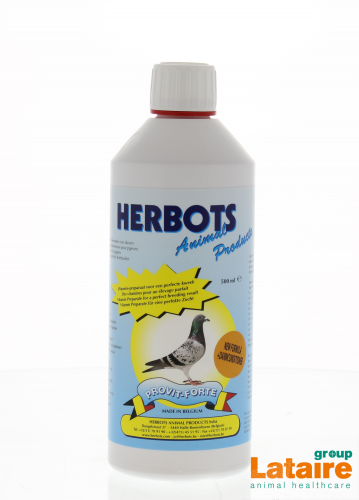 Herbots | Vanderbauwhede
